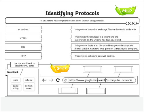 Network Connection. Interactive worksheet | TopWorksheets