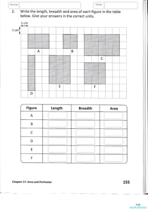 Area of Rectangle Y3. Interactive worksheet | TopWorksheets