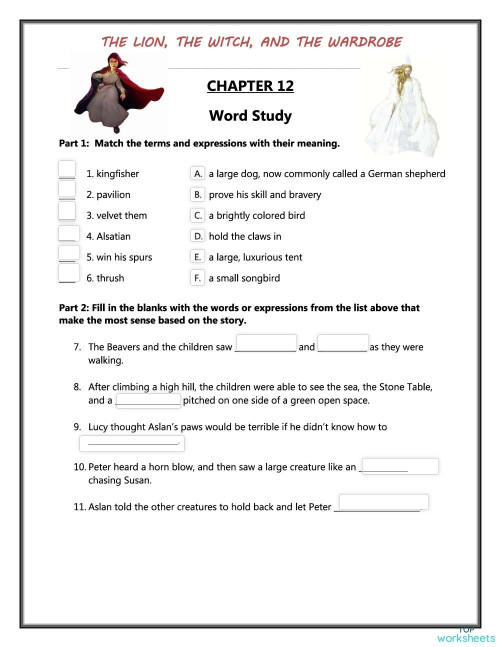 Chapter 12 Extra Activities. Interactive worksheet | TopWorksheets