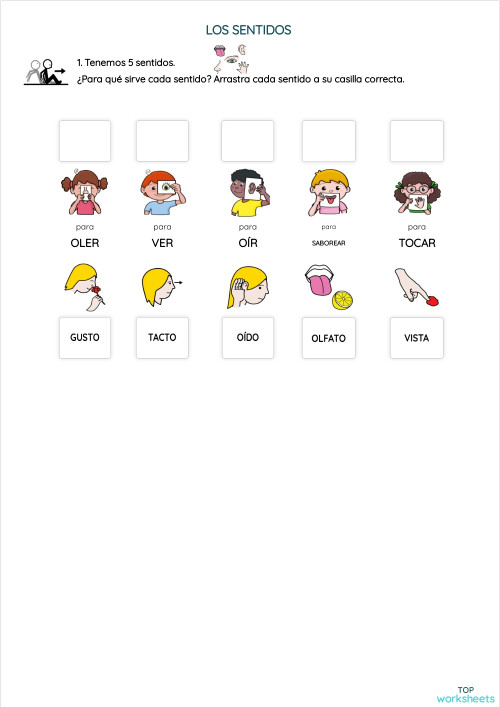 LOS SENTIDOS. Ficha interactiva | TopWorksheets