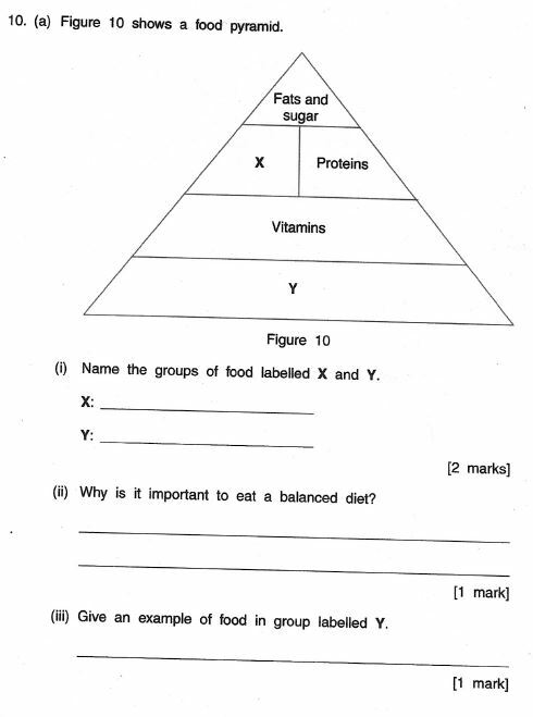 PSR Science 2017 Paper 1 - Ex 1. Interactive worksheet | TopWorksheets