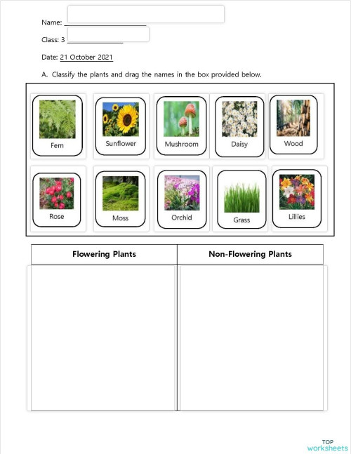 SCIENCE YEAR 3 GROUPING LIVING THINGS AND ELECTRICITY HBL. Interactive ...