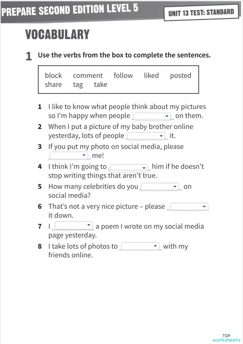 B1+: interactive worksheets and online exercises | TopWorksheets