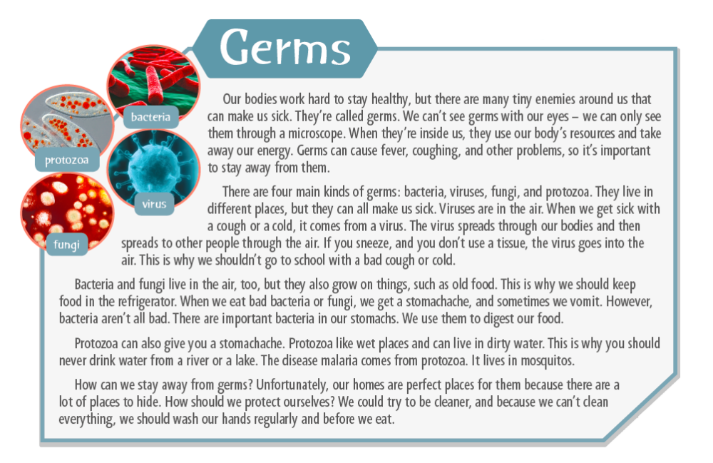 Reading comprehension Germs. Interactive worksheet | TopWorksheets