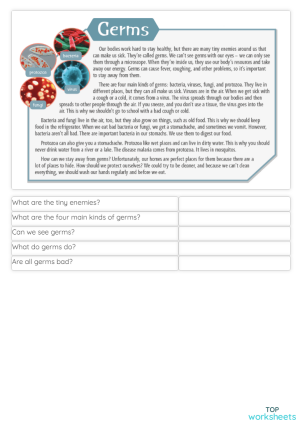 Reading comprehension Germs. Interactive worksheet | TopWorksheets