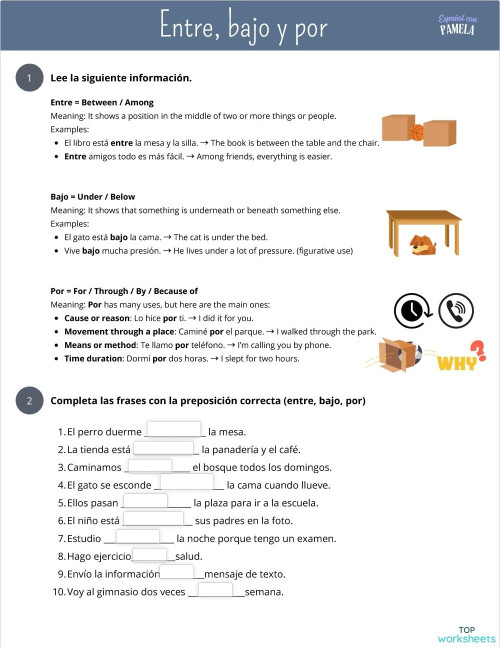 Preposiciones: fichas interactivas y ejercicios online | TopWorksheets