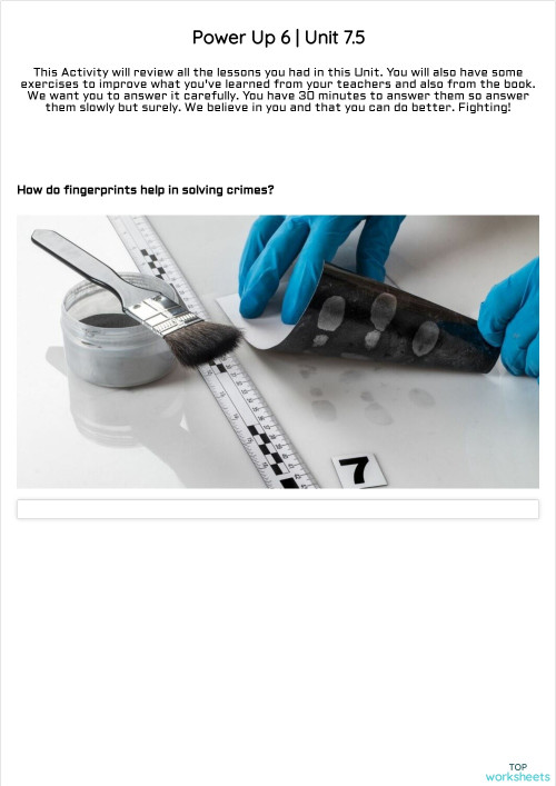 Extra Curriculum: interactive worksheets and online exercises ...