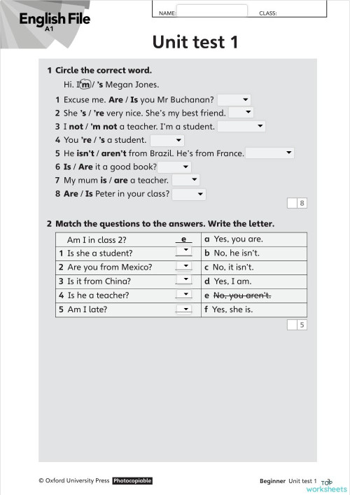 Beginner test (Copied). Interactive worksheet | TopWorksheets