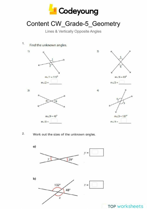 Content-CW-lines & vertically Opposite Angles. Interactive worksheet ...