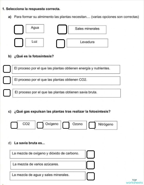 Plantas: fichas interactivas y ejercicios online | TopWorksheets