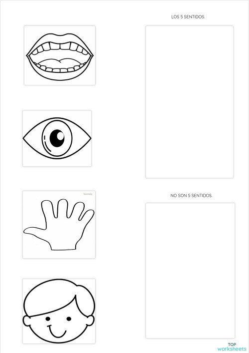 ARASTRAR Y SOLTAR.. Ficha interactiva | TopWorksheets