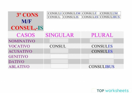 3ª Declinación Consonante exercise. Ficha interactiva | TopWorksheets