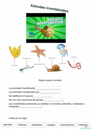Animales: fichas interactivas y ejercicios online | TopWorksheets