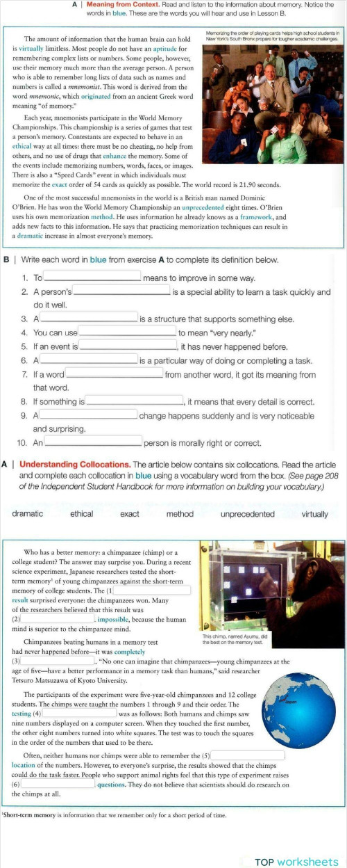 ALS3 vocabulary p.174-175. Interactive worksheet | TopWorksheets