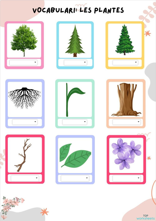 Vocabulari les plantes. Fitxa interactiva | TopWorksheets