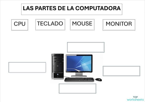 U1S2 INI5 PARTES DE LA COMPUTADORA. Ficha interactiva | TopWorksheets