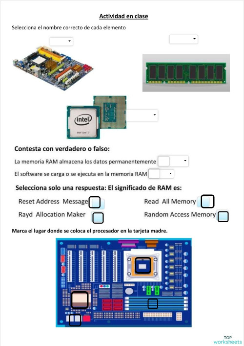 Partes del CPU. Ficha interactiva | TopWorksheets Partes del CPU. Ficha interactiva | TopWorksheets