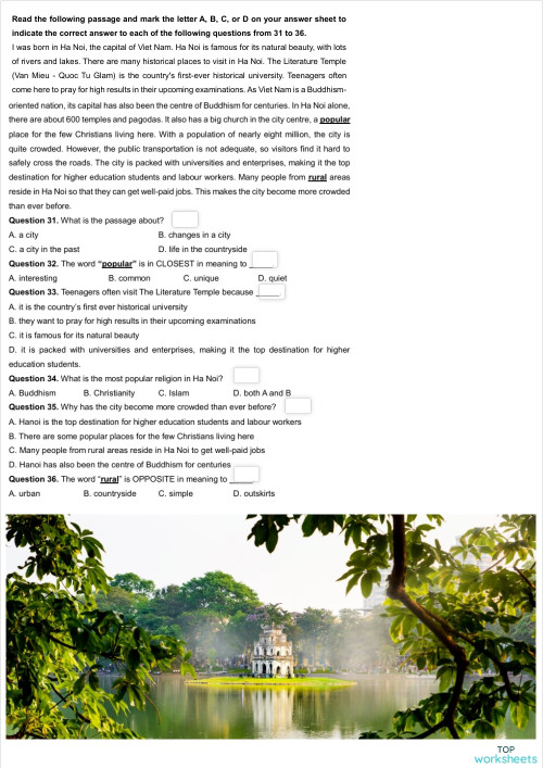 READING MULTIPLE CHOICE 17. Interactive worksheet | TopWorksheets