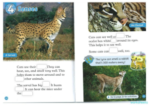 Oct 13_Wild cats_Chapter 4. Interactive worksheet | TopWorksheets
