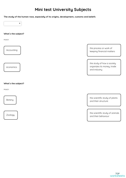 Mini test University Subjects. Interactive worksheet | TopWorksheets