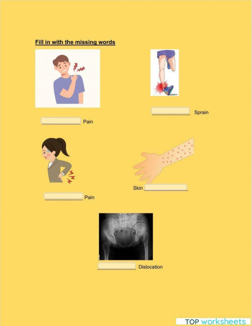 Parts of the body. Interactive worksheet | TopWorksheets