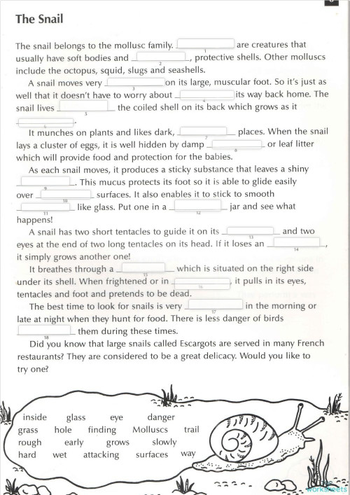 8. The Snail Cloze. Interactive worksheet | TopWorksheets