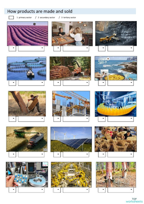 Economy: interactive worksheets and online exercises | TopWorksheets