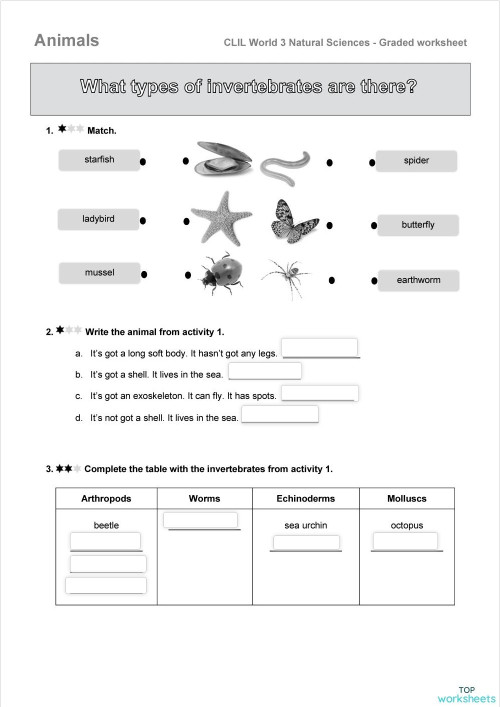 Natural science: interactive worksheets and online exercises ...