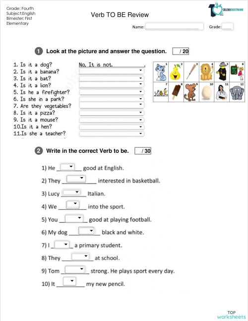 Cambridge Primary Placement test. Interactive worksheet | TopWorksheets