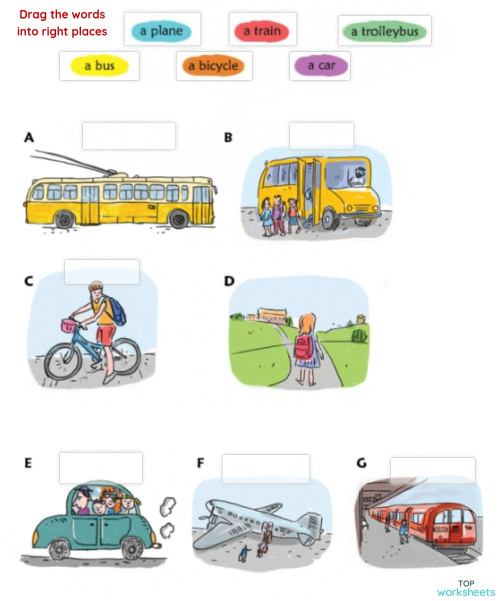3rg grade transport. Interactive worksheet | TopWorksheets
