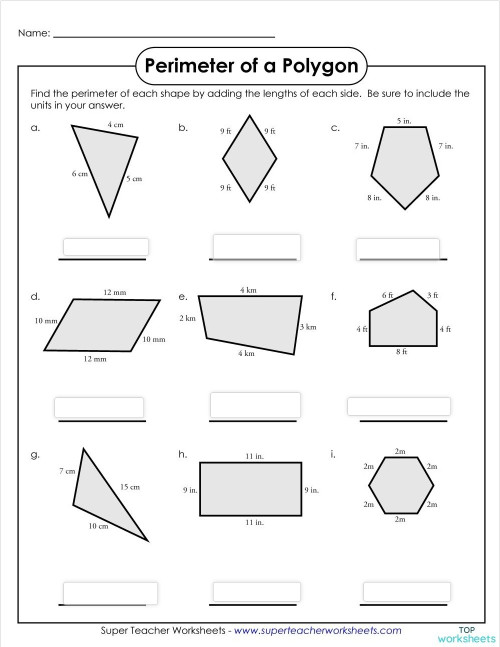 perimeter and plotting. Interactive worksheet | TopWorksheets