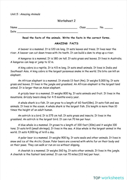 KB1 Test 2. Interactive worksheet | TopWorksheets