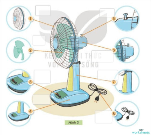 Stem Phiáº U Bã I Táº P Tæ æ Ng Tã C Vã Bã I Táº P Trá C Tuyáº N Topworksheets