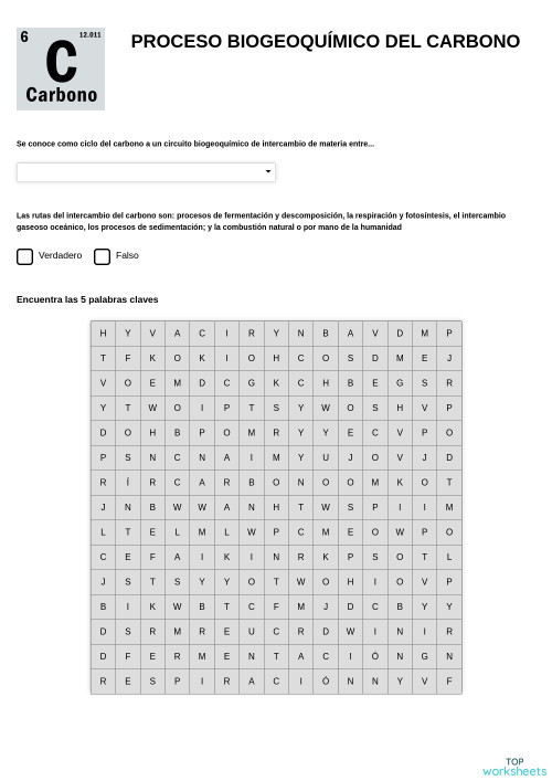 PROCESO BIOGEOQUÍMICO DEL CARBONO. Ficha interactiva | TopWorksheets