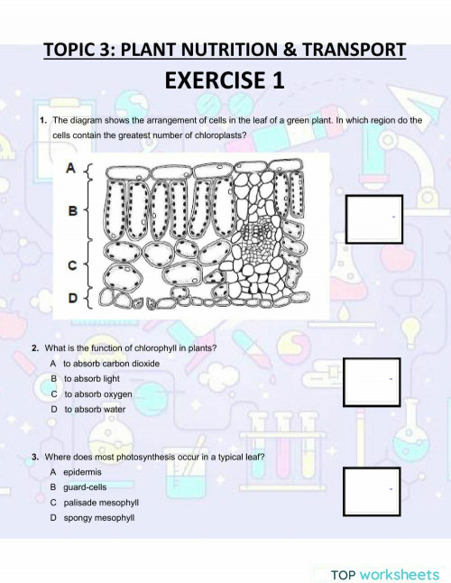 Plant NUtrition and Transport. Interactive worksheet | TopWorksheets