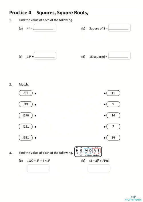 Square and Square Roots. Interactive worksheet | TopWorksheets