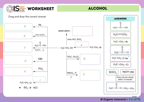 ALCOHOL COMPOUND. Interactive worksheet | TopWorksheets