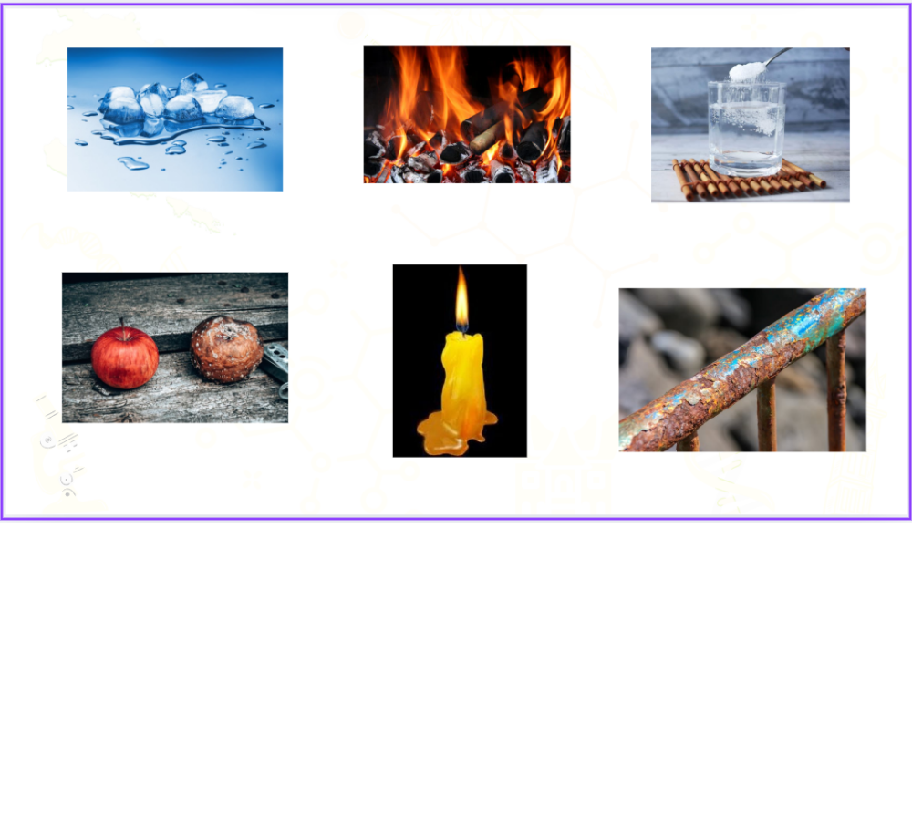 Worksheet 1. Interactive worksheet | TopWorksheets