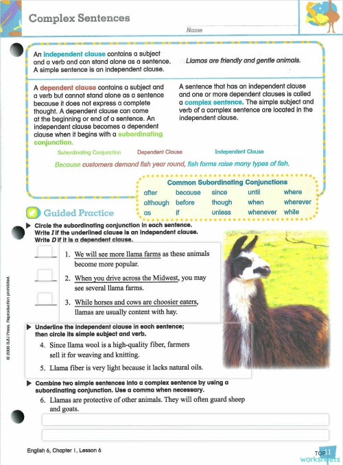 Complex Sentences Pg 11. Interactive worksheet | TopWorksheets