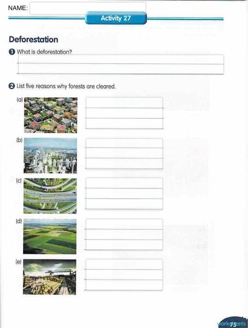 Activity 27: Deforestation (Why Deforestation?). Interactive worksheet ...