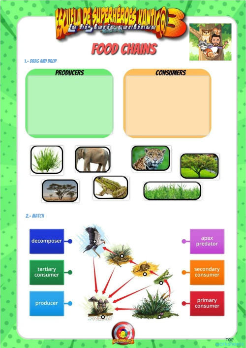 FOOD CHAINS. Interactive worksheet | TopWorksheets