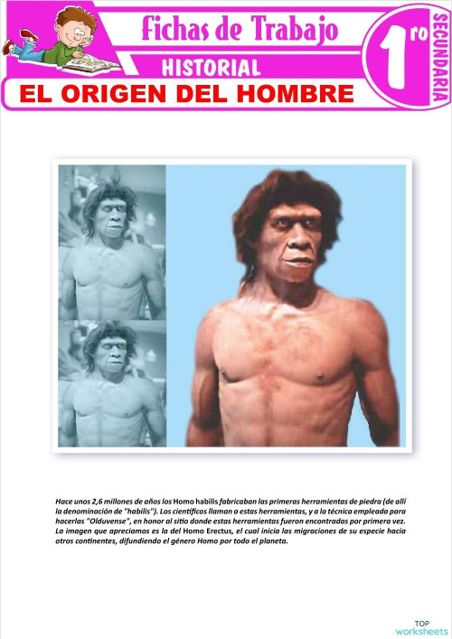 hominizacion. Ficha interactiva | TopWorksheets