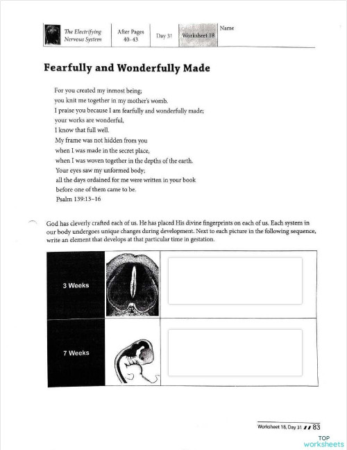 Worksheet 18: Fearfully and Wonder..... Pg 83-84. Interactive worksheet ...