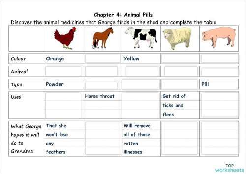 Chapter 4 Review: Animal Pills. Interactive worksheet | TopWorksheets