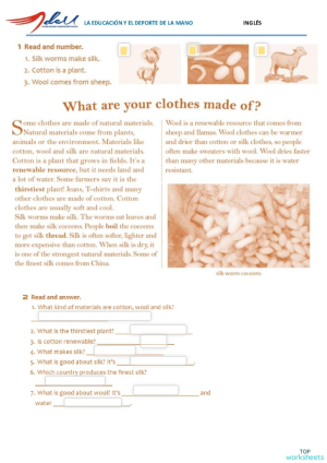 Reading - What are yout clothes made of?. Interactive worksheet ...