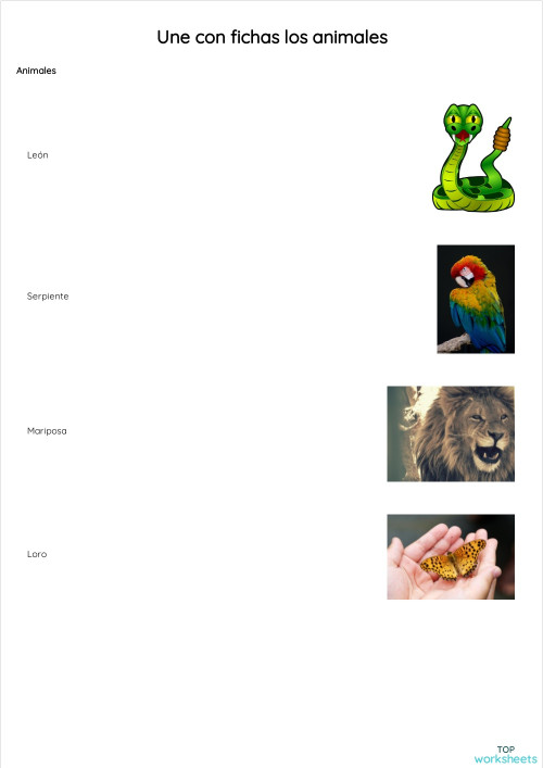 Une con fichas los animales. Ficha interactiva | TopWorksheets