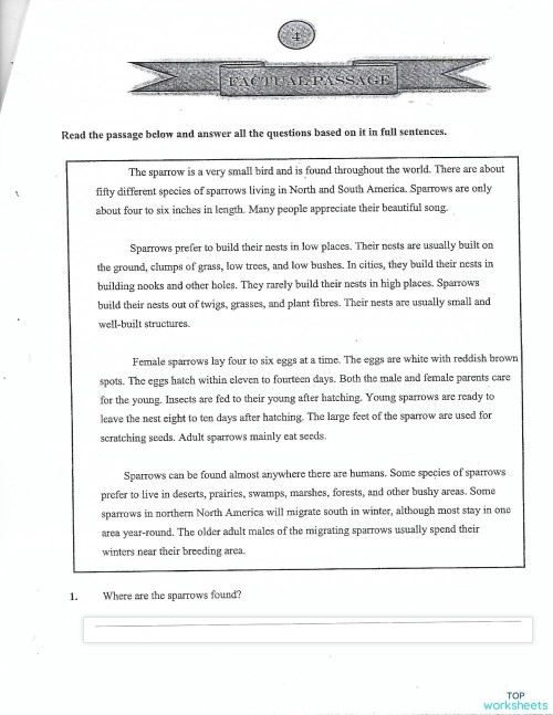 Sparrows Comprehension. Interactive worksheet | TopWorksheets