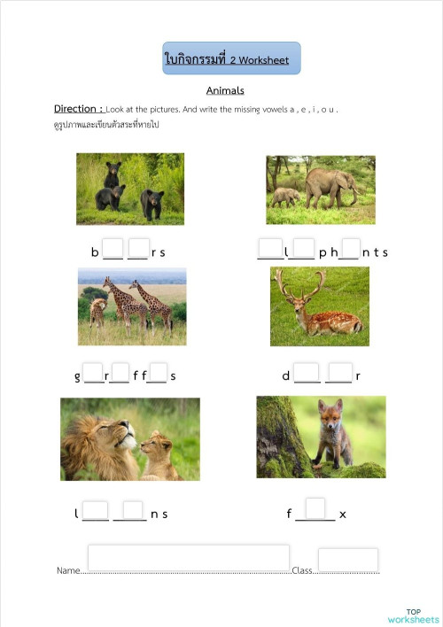 Spelling: interactive worksheets and online exercises | TopWorksheets
