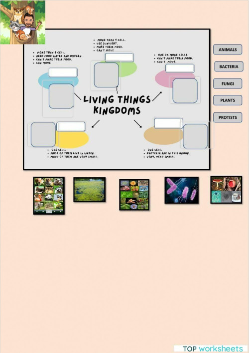 LIVING THING KINGDOMS. Interactive worksheet | TopWorksheets
