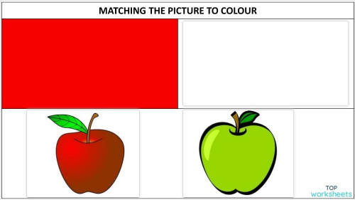 Matching items to colours. Interactive worksheet | TopWorksheets